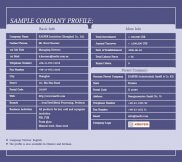 Download a Free Company Profile Template - FormFactory